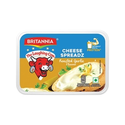 Cheese Cubes & Cheese Blocks by Britannia Dairy Products